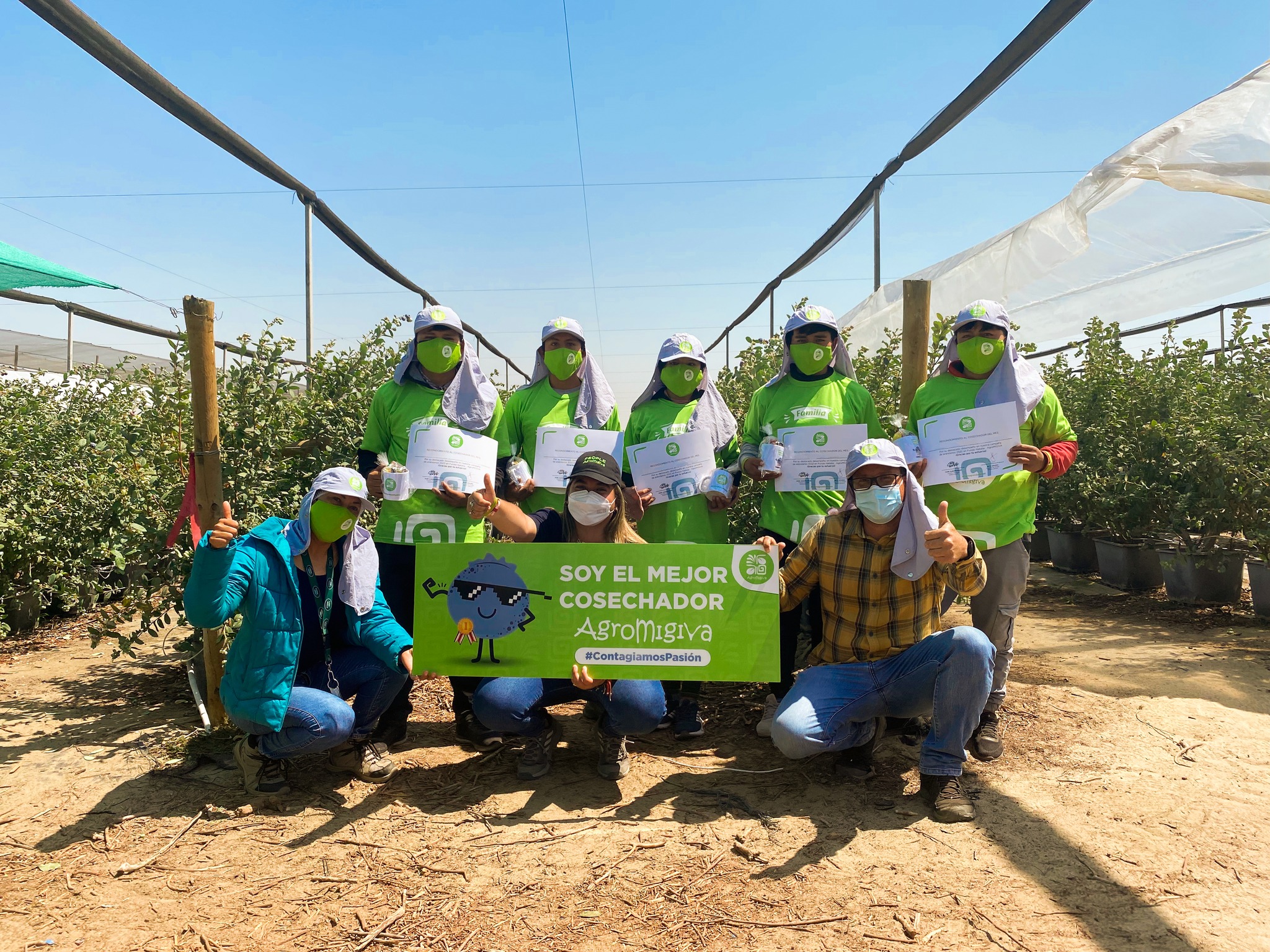 premiamos a los mejores cosechadores de arándanos | MIGIVA Group