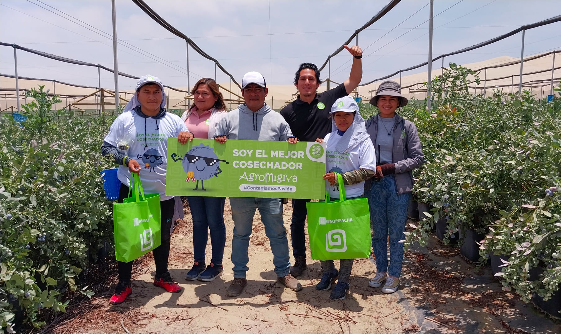 Premiamos a los mejores cosechadores de octubre | MIGIVA Group